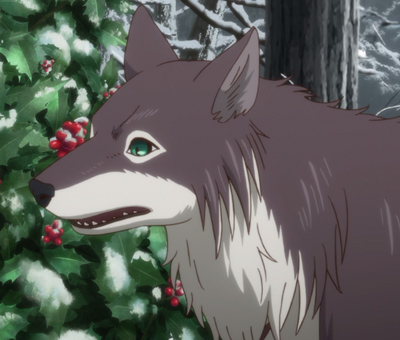 Chise - Character (93692) - AniDB