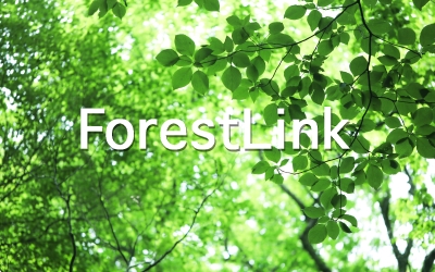 Forest Link - Company (57066) - AniDB