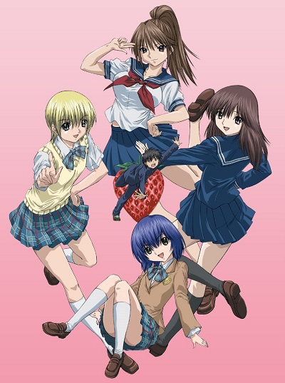 Ichigo 100% - Anime - AniDB