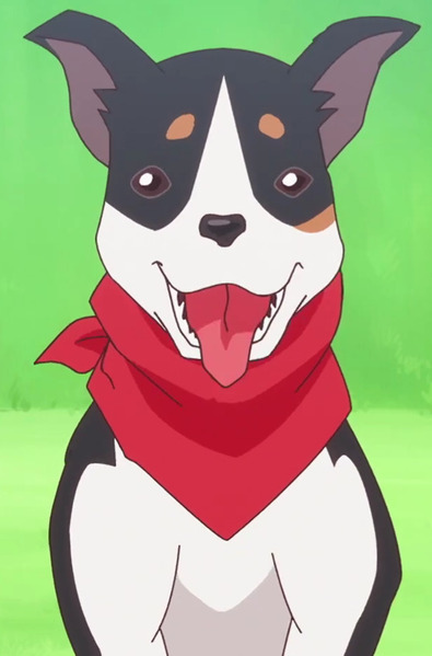 Andy - Character (142833) - AniDB