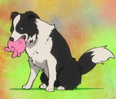 Chappy - Character (149376) - AniDB